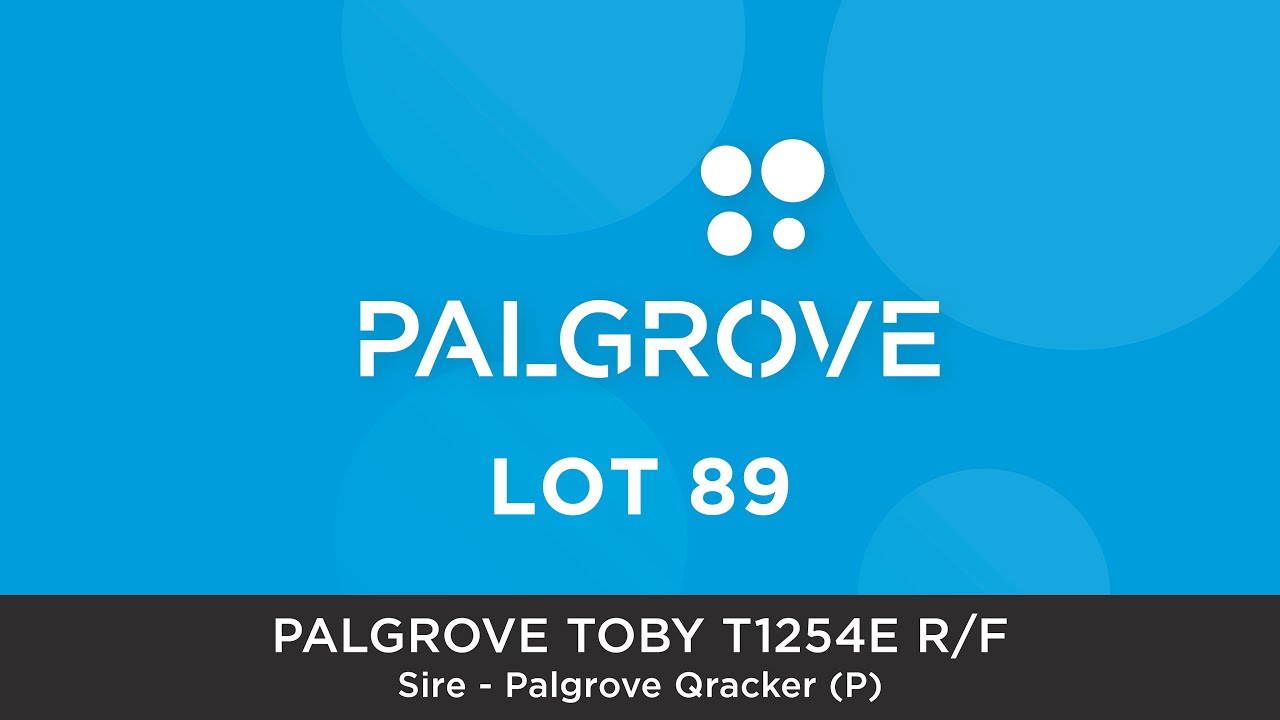 Lot 89 Palgrove Toby T1254E R/F - YouTube