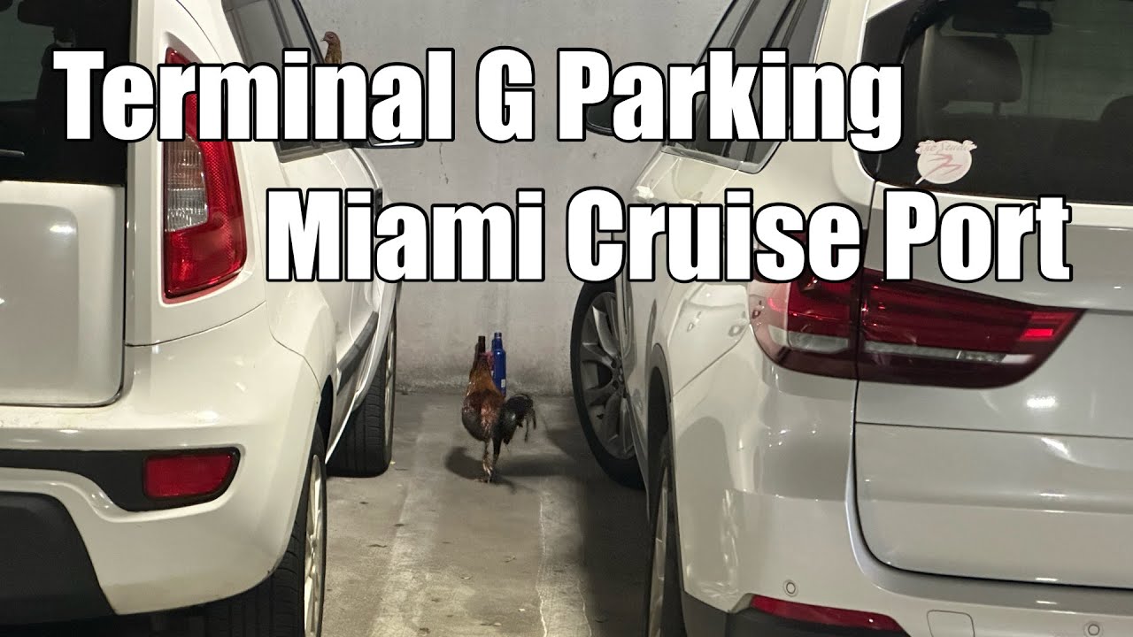 Guide to Miami Cruise Port - Terminal G Parking Garage - Rambling with ...