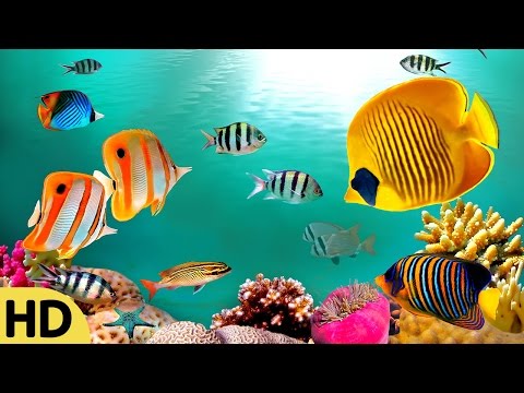 Rahatlayıcı Guitarra müziği, Meditasyon için müzik, Rahatlamak için Enstrümantal Müzik, ☯2763