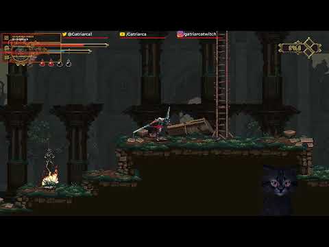 por mis bigotes o.,o