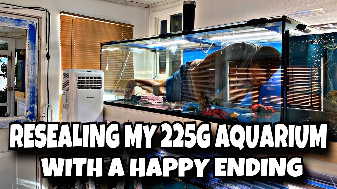 RESEALING MY 225 GALLON AQUARIUM *WITH A HAPPY ENDING* - YouTube