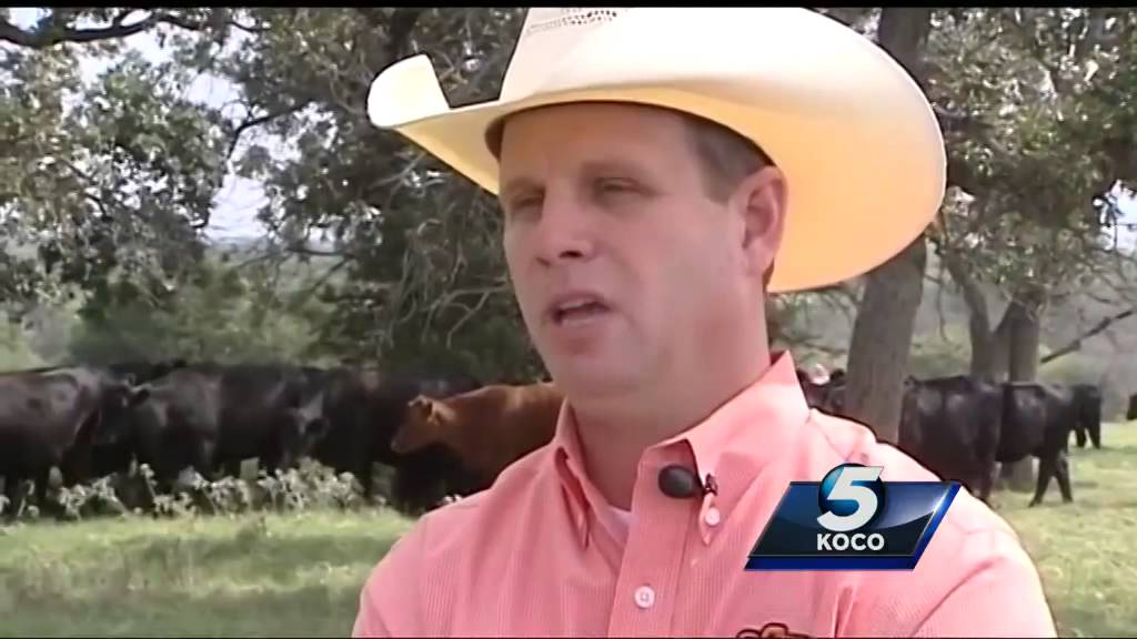 Meth use is being blamed for recent cattle thefts - YouTube