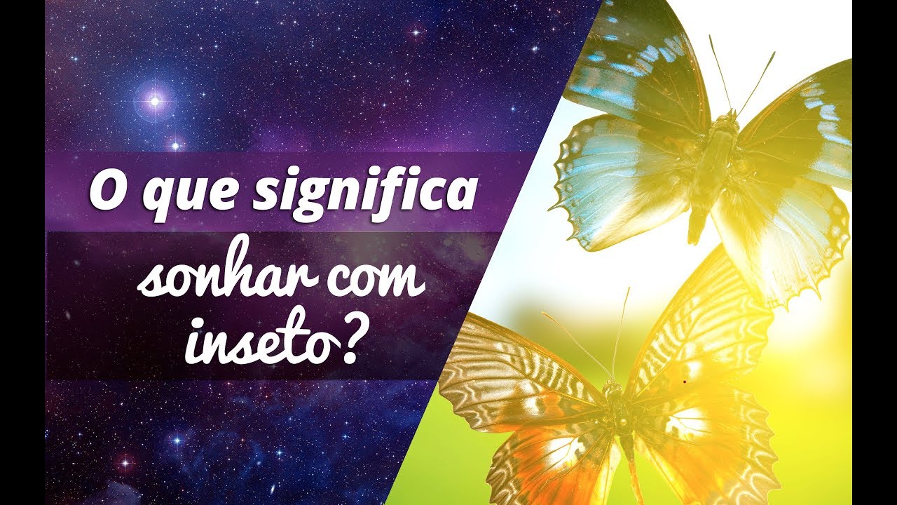 O'que Significa Sonhar Com Inseto - LIBRAIN