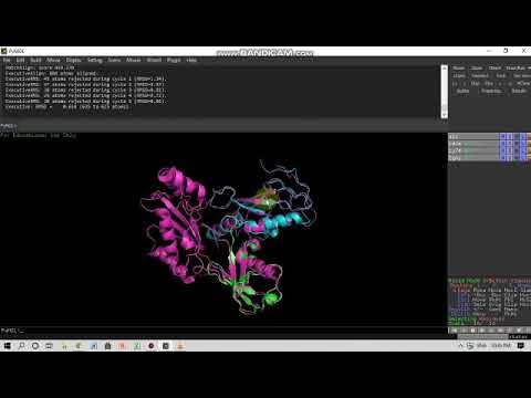 Pymol | lecture 2 | Advance features| protein Interaction and ...