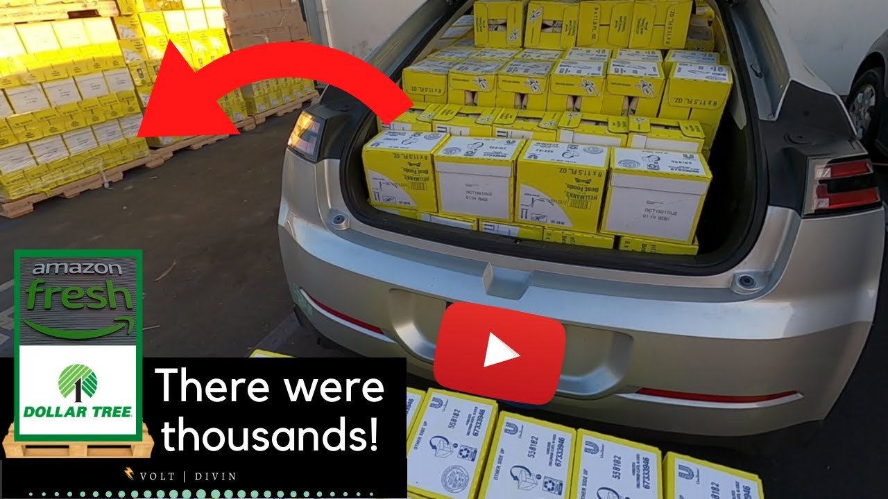 Dumpster Diving Amazon Fresh, Dollar Tree & Thousands more! S1E80 - YouTube