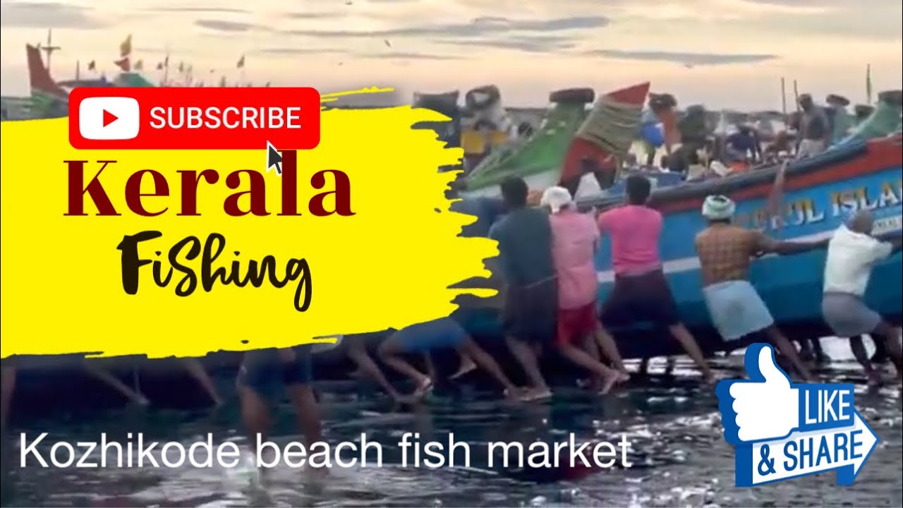 Kozhikode beach | Vellayil fishing harbour | Kozhikode meen market ...