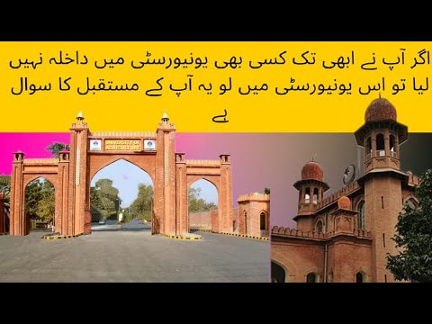 How To Apply online in UAF 2023 | How To Apply online In Agriculture ...