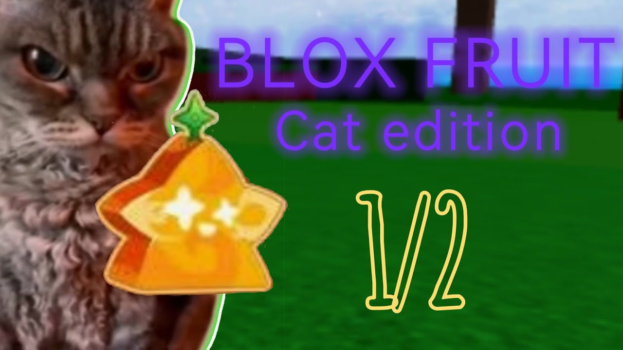 First Sea Blox Fruits (cat edition) PT. 1/2 EP. 2 | Roblox Blox Fruit ...