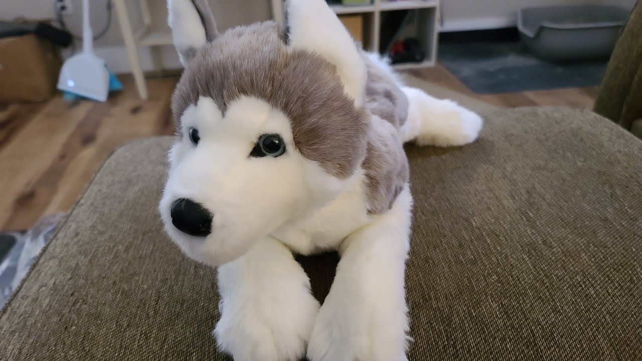 Unboxing Geno Husky Plush by Douglas + Review! - YouTube