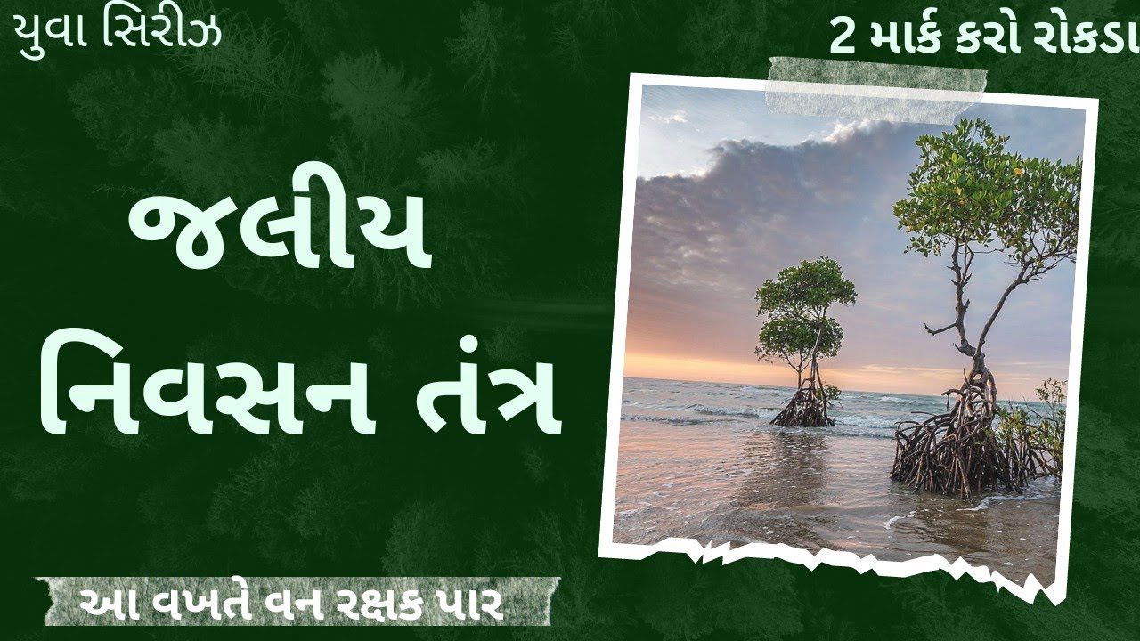 જલીય નિવસન તંત્ર🌱યુવા સીરીઝ 🪴આમાંથી જ પરીક્ષામાં હશે🌊Water Ecosystem # ...