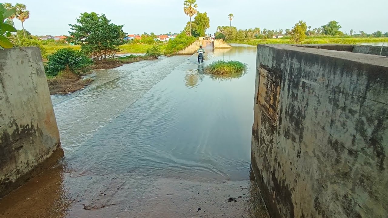 Removal Floating Plants Clog On Dam Drain Water - YouTube