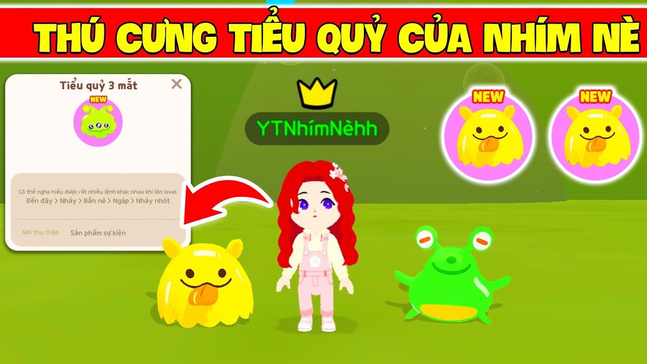 Thú Cưng Mới Của Nhím "Tiểu Quỷ" Siêu Đáng Yêu | PLAYTOGETHER - YouTube