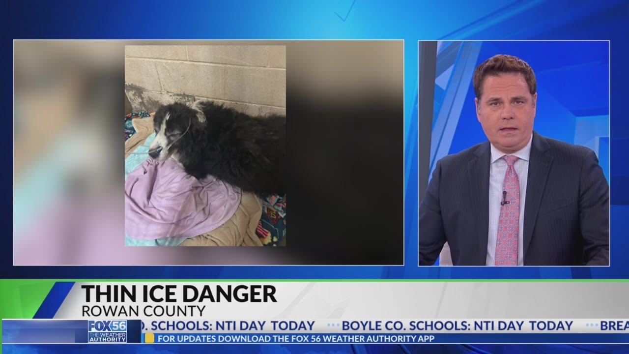 Icy pond rescue: Rowan County man and dog rescued after falling into pond - YouTube