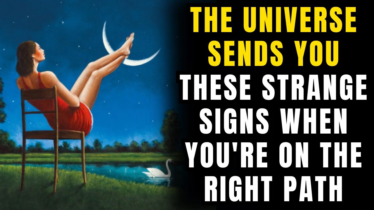 The universe sends you these strange signs when you are on the right ...