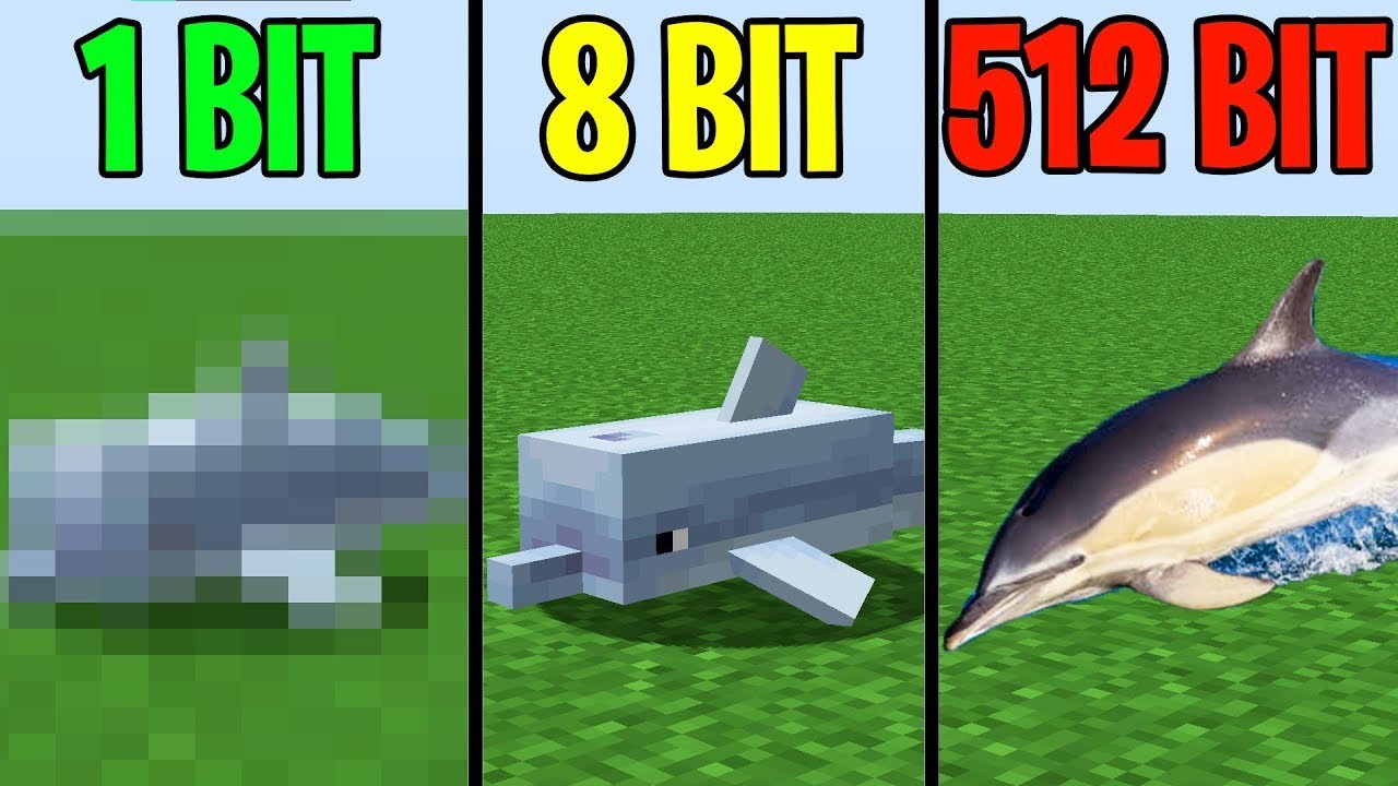 dolphin 1 bit 2 bit 4 bit 8 bit 16 bit 32 bit 64 bit 128 bits 256 bit ...