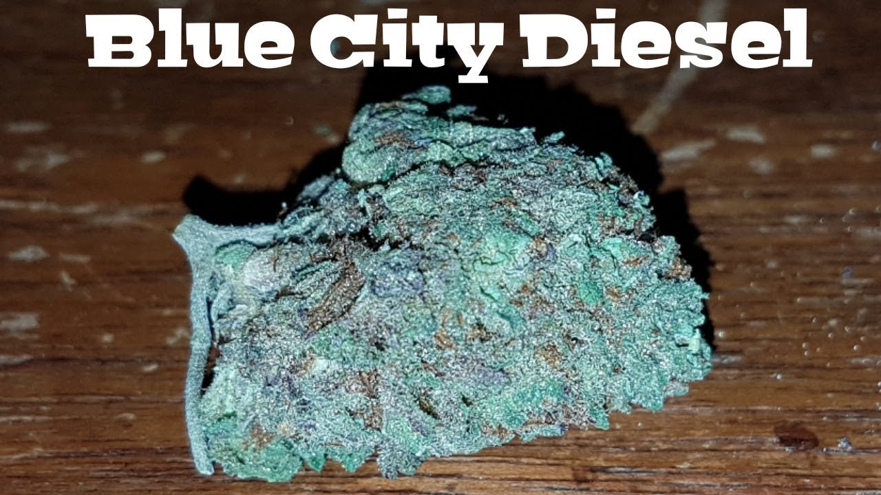 Strain Review - Blue City Diesel - YouTube
