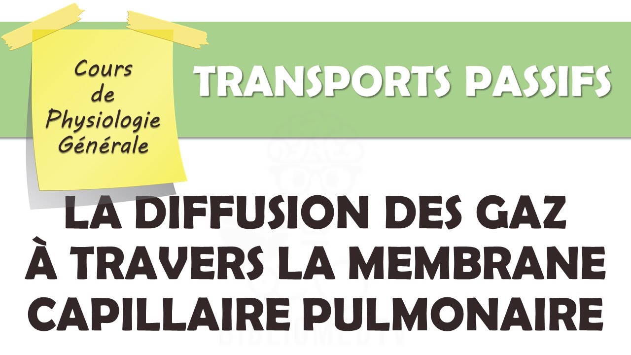 Physiologie Générale - la Diffusion des gaz à travers la membrane ...