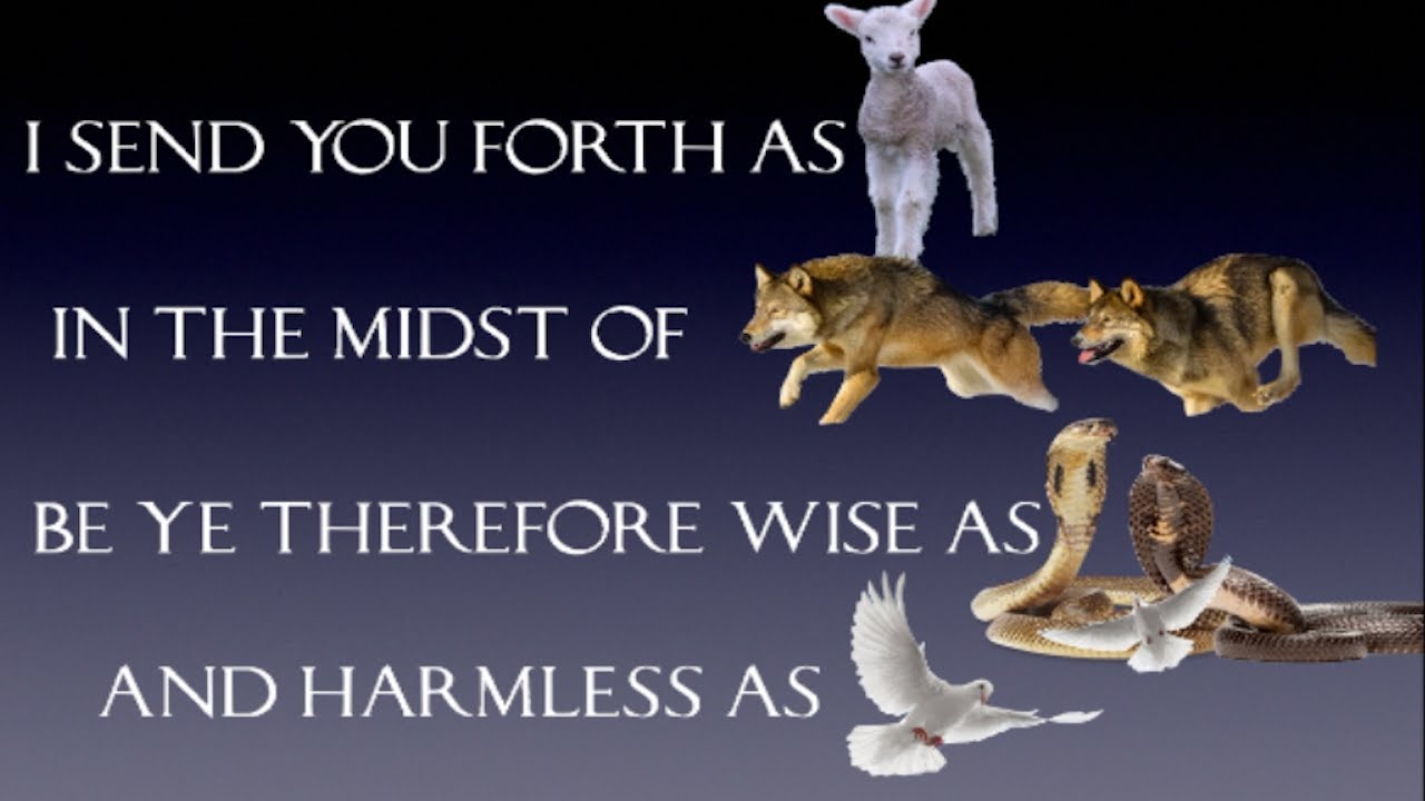 Wise as Serpents,Harmless as Doves - YouTube