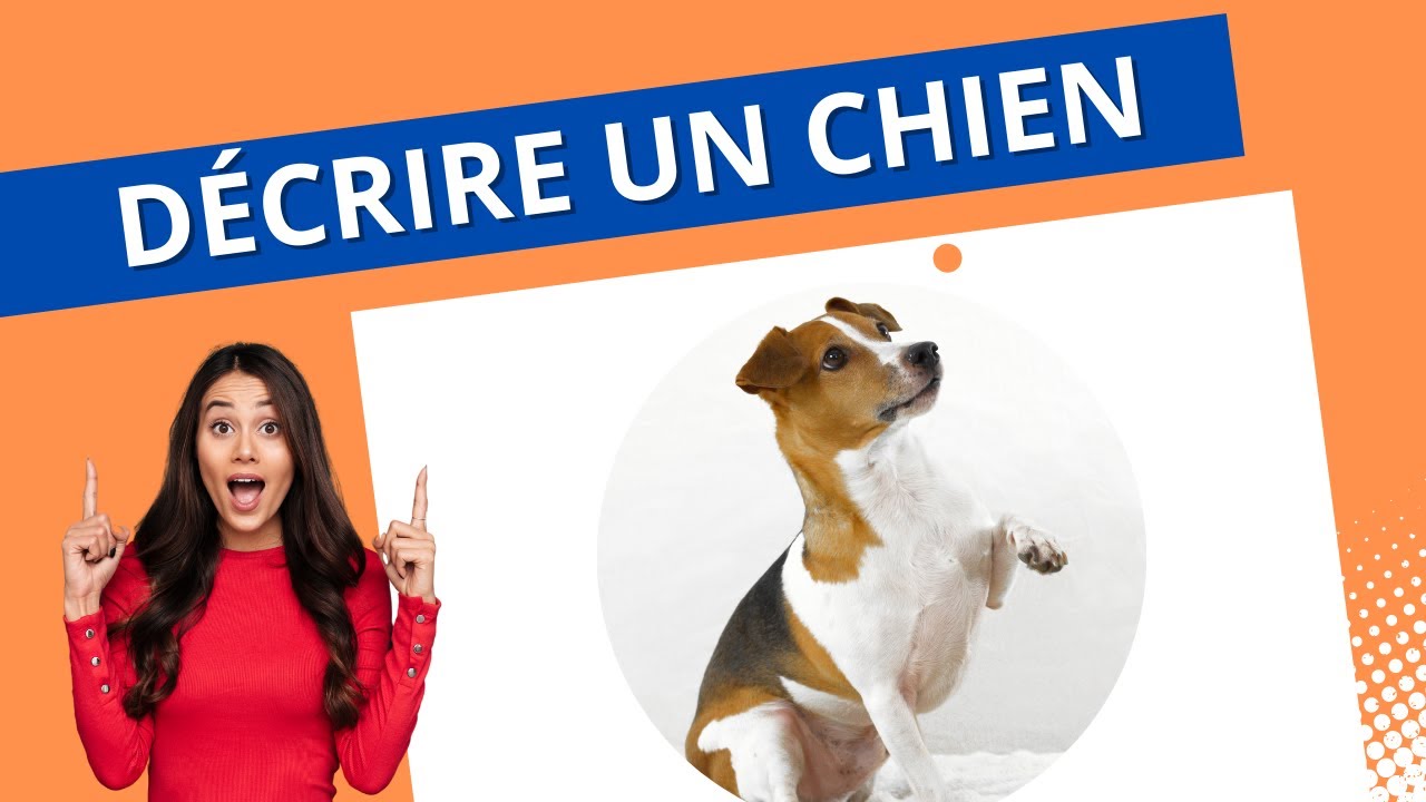 Apprendre à décrire en Français : Décrire un chien - YouTube