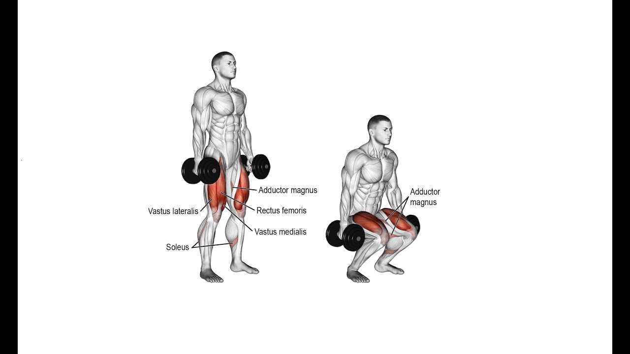 Sentadillas con mancuerna - YouTube