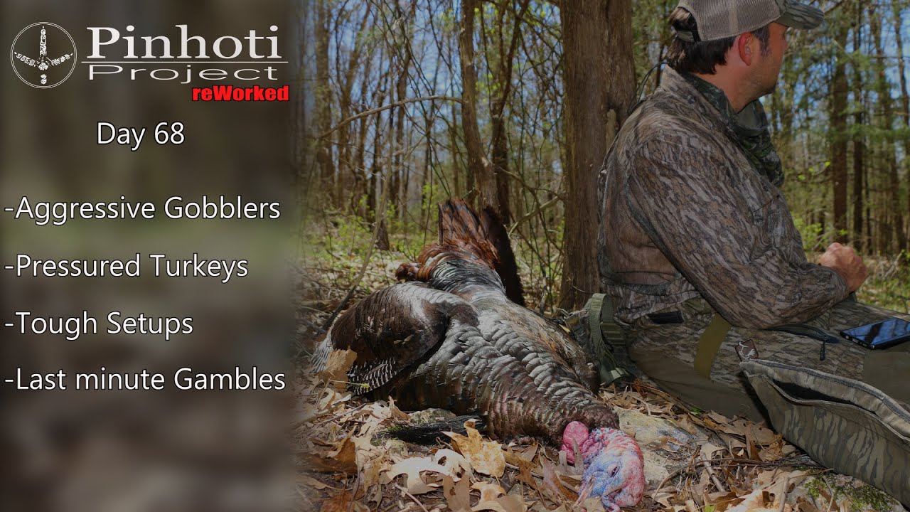 LATE SEASON AGGRESSIVE TACTICS_ the MANY PIECES to SUCCESS_ reWorked ...