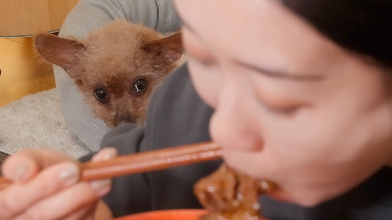 SUB)Fiery & Flavorful: Savor the Spice of Sichuan Hotpot🔥🔥🔥【HOME ...