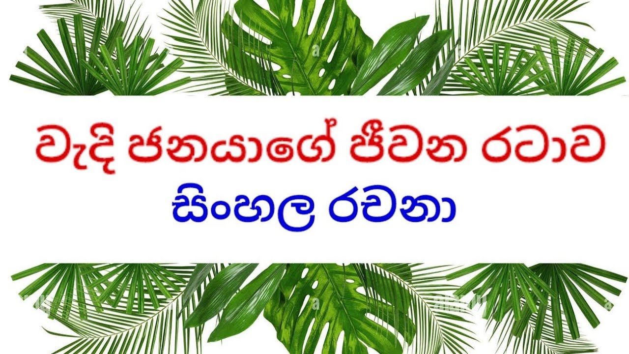වැදි ජනයාගේ ජීවන රටාව - සිංහල රචනා. - YouTube