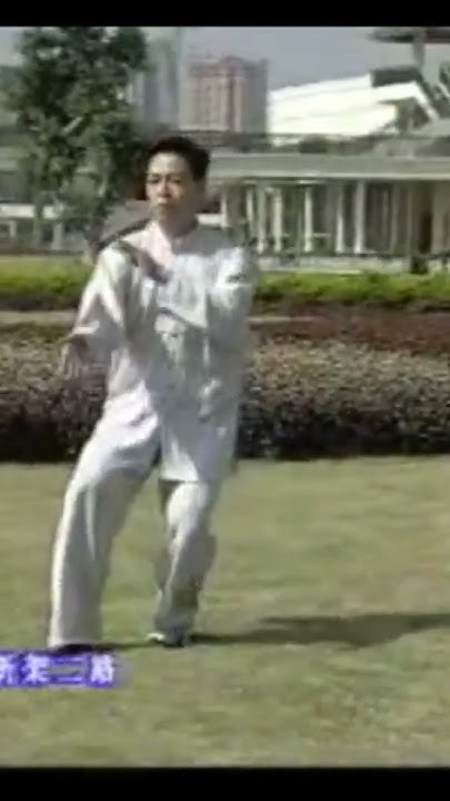 Chen Style Tai Chi New Frame Second Routine - YouTube