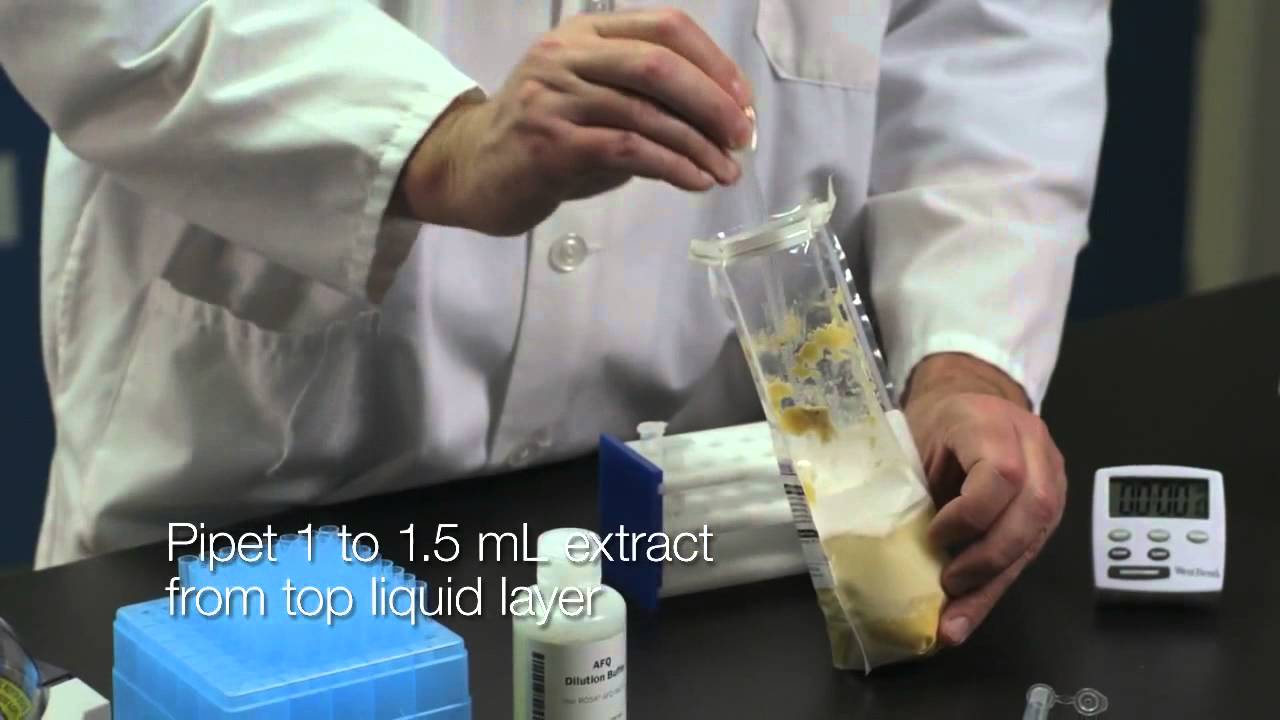 ROSA AFQ WETS5 Chapter 04 Grain Extraction - YouTube
