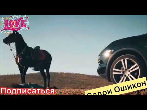 Бехтарин Суруди Эрони Фардин Саодат Иранкая Песни Fardini Saodat 2019