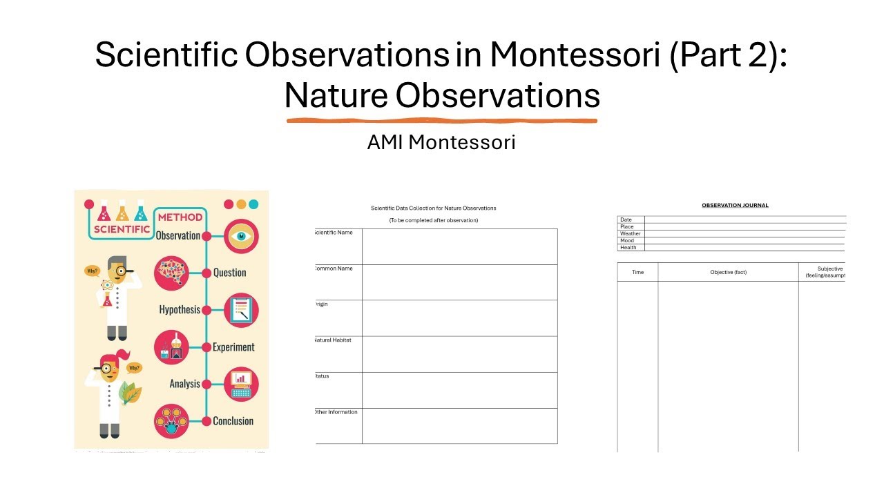 Scientific Observations (Part 2): Nature Observations - Plant and ...