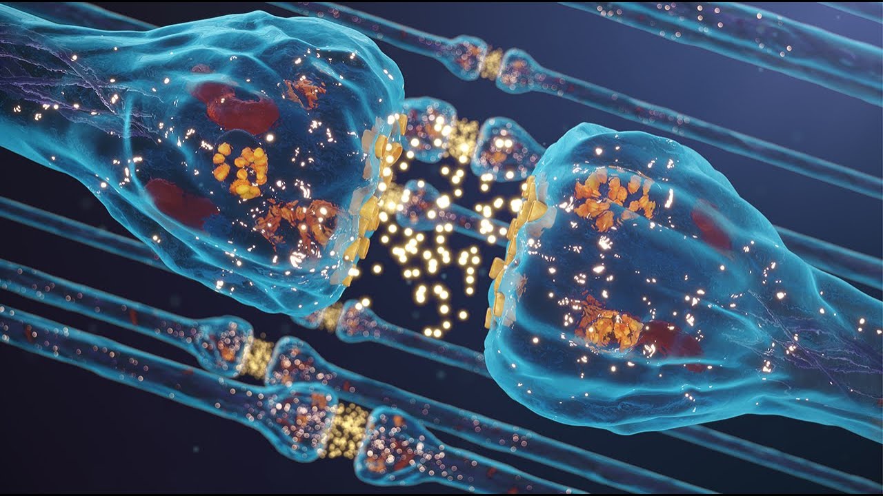 Radicle Health Summer Lecture Series: CB1 Antagonists--History and ...