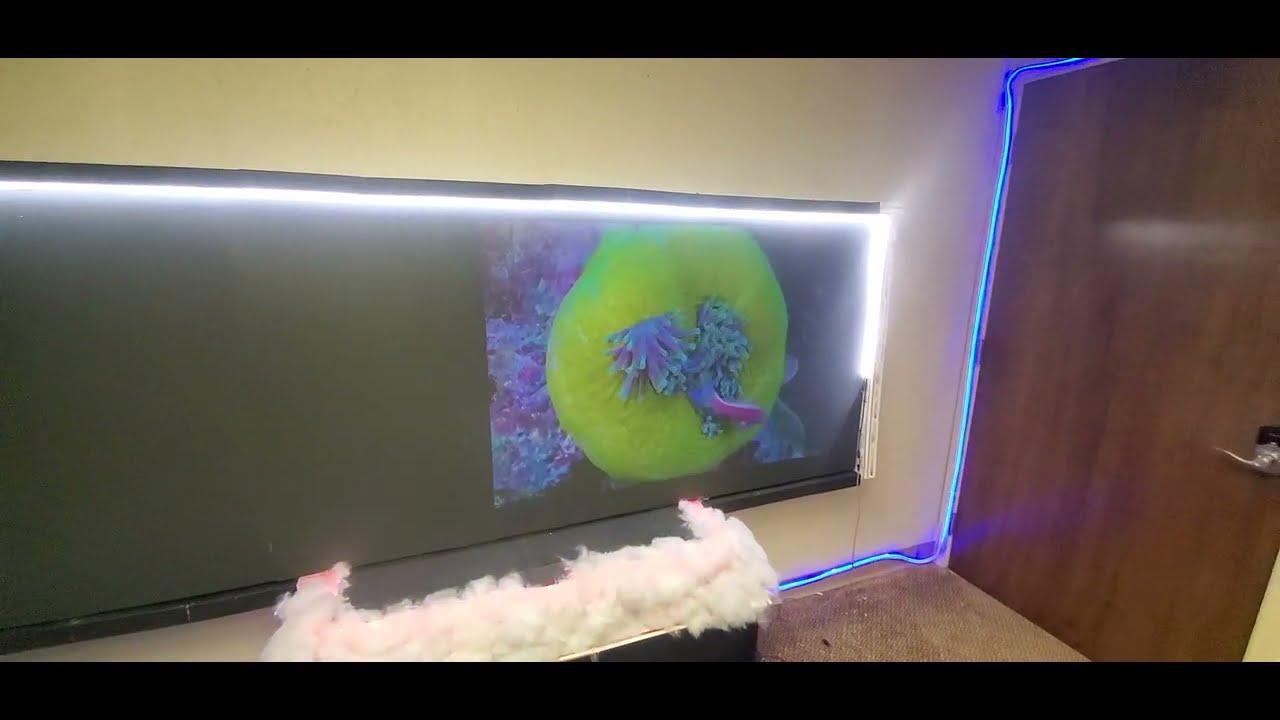 Why we consider other projector screens ambient light rejecting ...