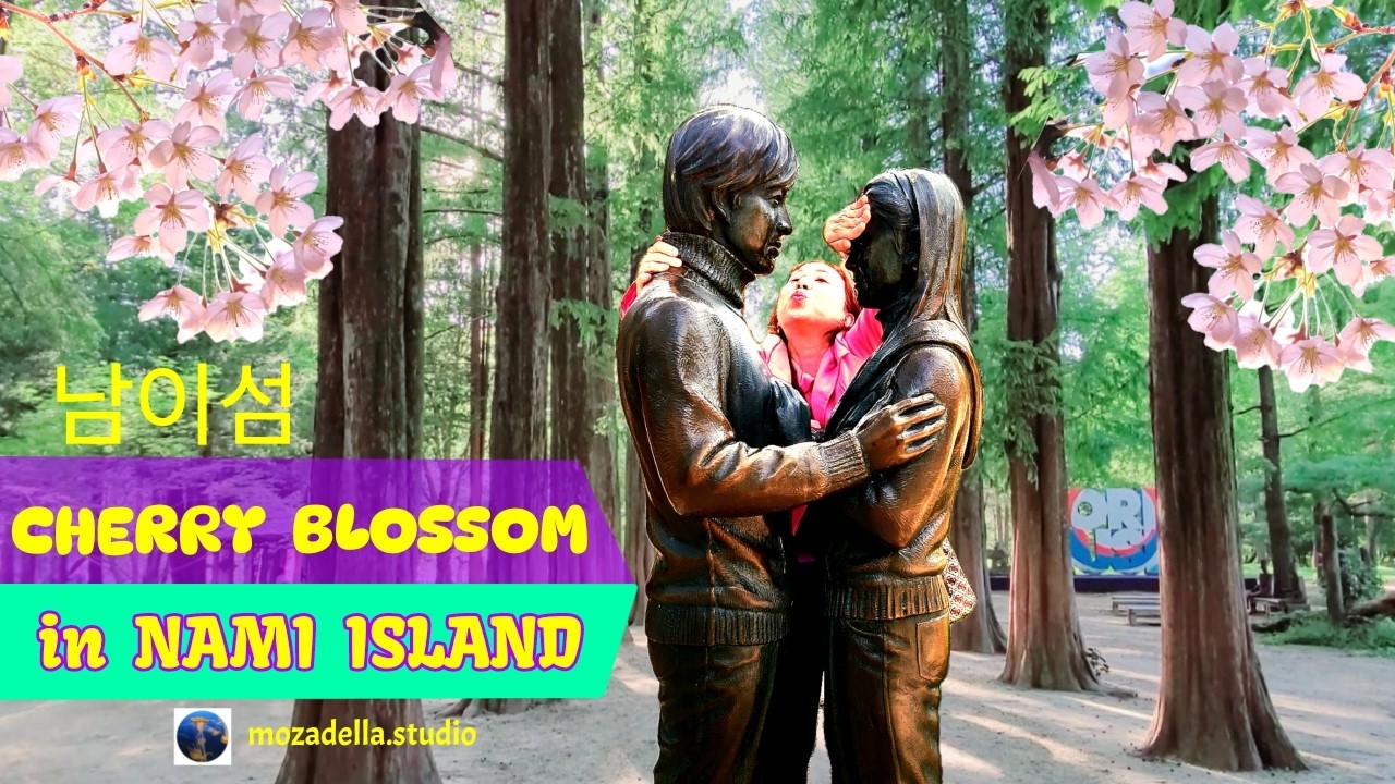2025 Cherry Blossom in Korea Nami Island | 23 Best Things To Do in 남이섬 ...