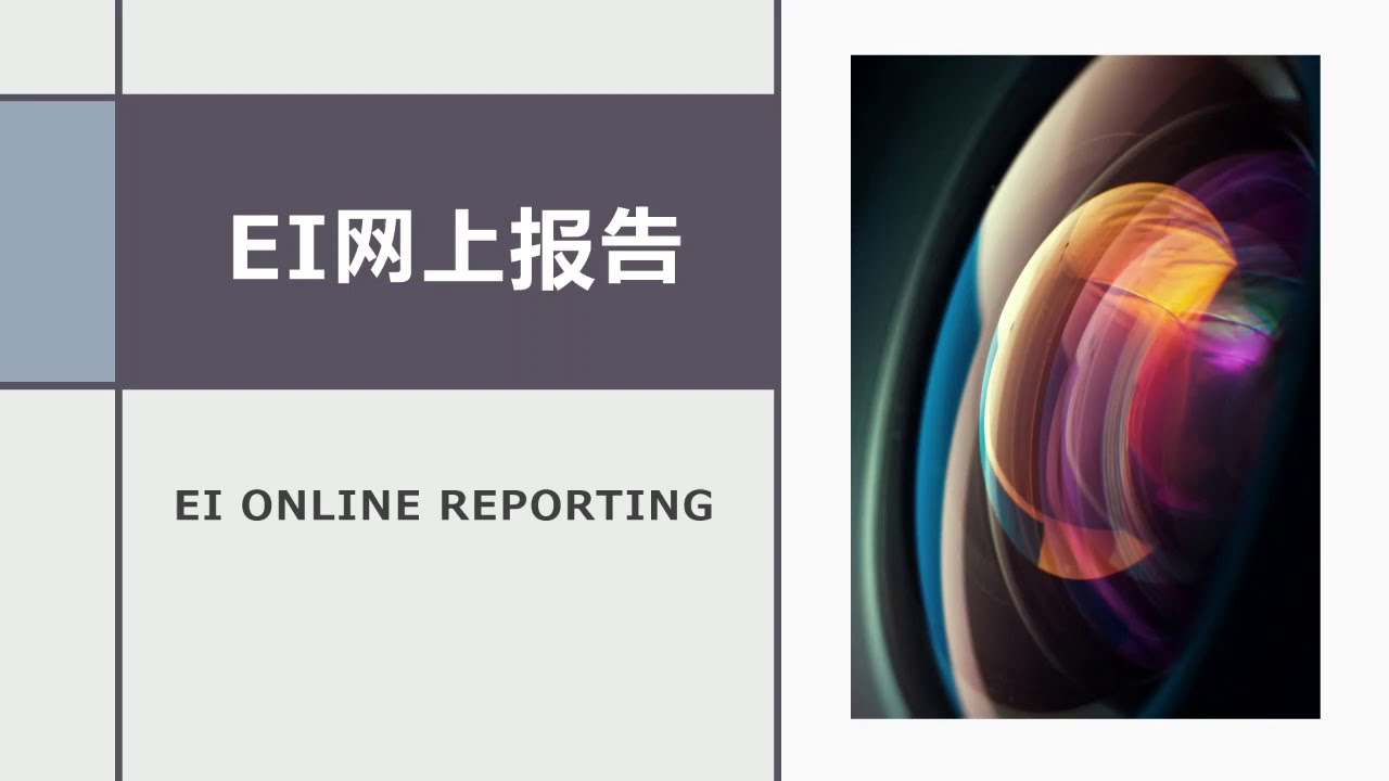 EI系列5: EI网上报告 | 手把手教填写 | 注意细节 | EI ONLINE REPORTING - YouTube