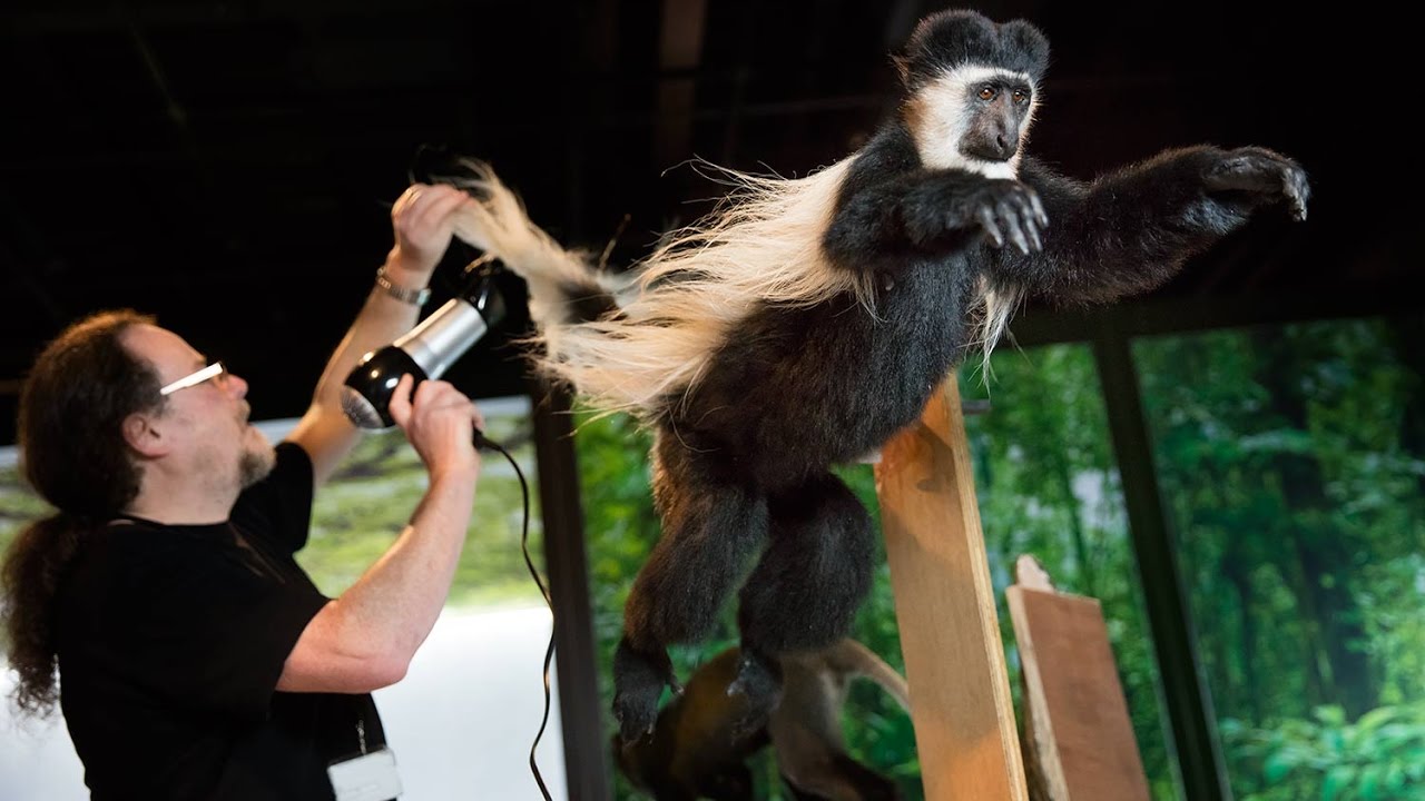 The making of Monkey Business - YouTube