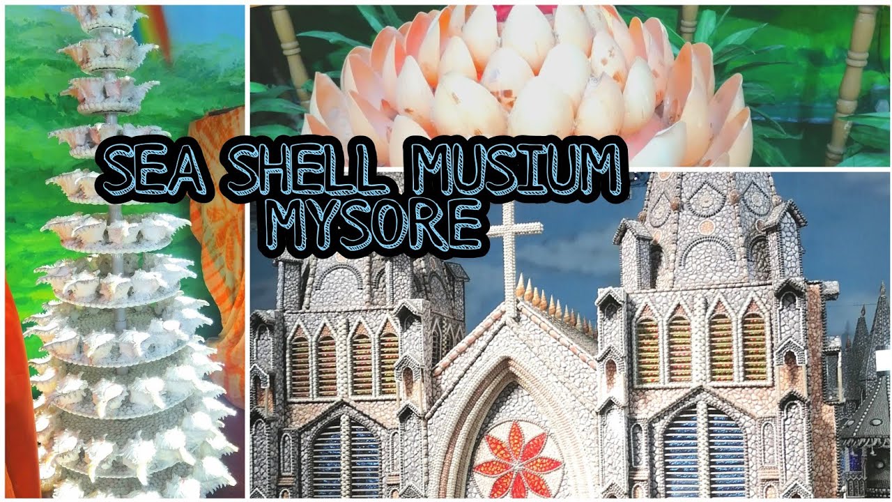 SEA SHELL MUSIUM MYSORE|GUINNESS WORLD RECORD|DAY_4 - YouTube