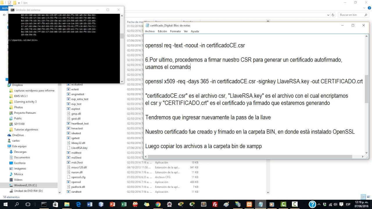 Creación de un certificado SSL autofirmado para un servidor local(XAMPP) - YouTube