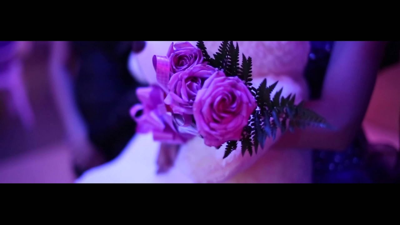 |Débuts| - Paula Sassi - YouTube