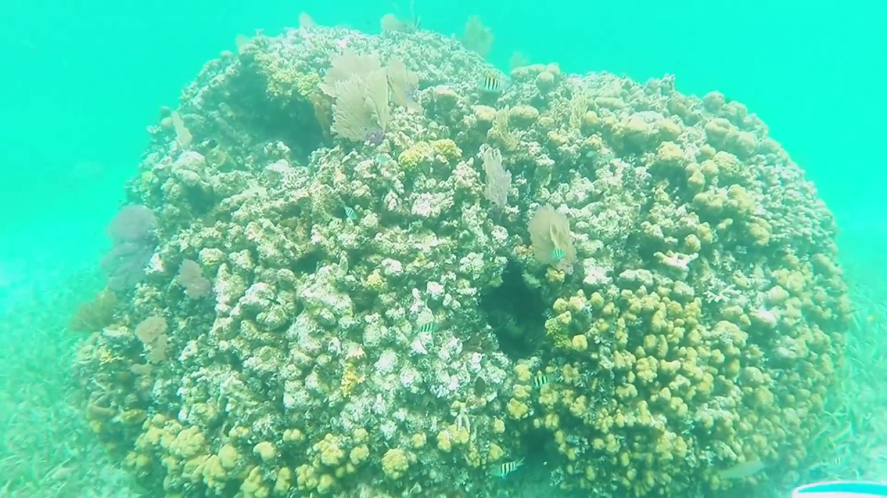 San Pedro Belize Mexico Rocks - YouTube