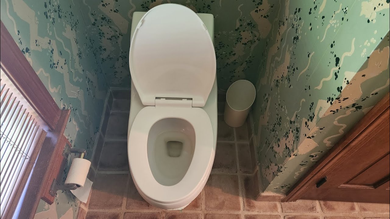 Newer Glacier Bay McClure toilet - YouTube