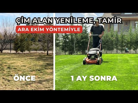 Çim Alan Yenileme Tadilat - Çim Nasıl Ekilir? (Ara Ekim Yöntemi)