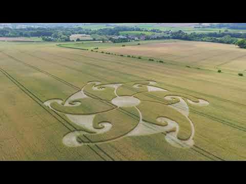 2024 Crop Circle; Etchilhampton, Wiltshire, UK - 08/08/2024 (4K) - YouTube
