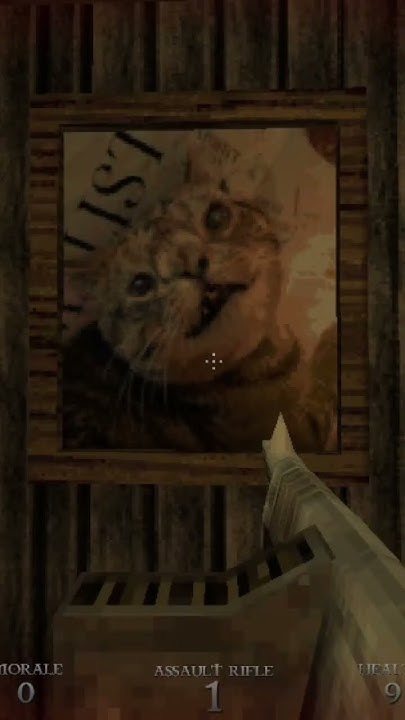 wut da cat doin #dusk #twitch #twitchgaming #gaming #gamer #twitchstreamer #twitchclips #pc #cat ...