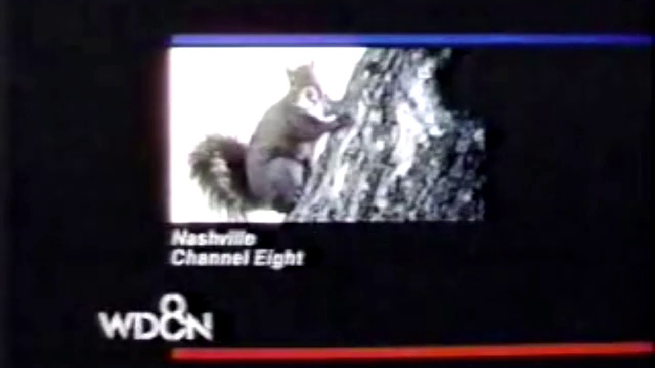 Collection Of WDCN Station IDs (1985) - YouTube