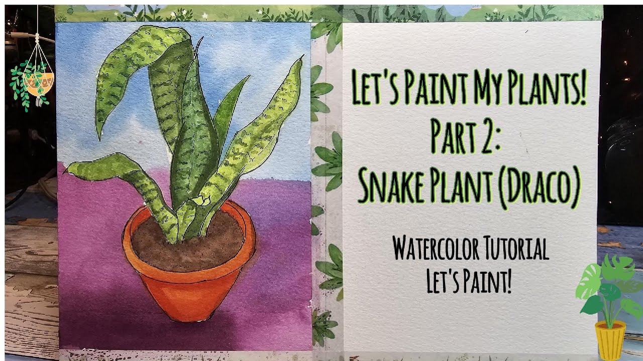 Let's Paint My Plants - Part 2: Snake Plant Watercolor Tutorial - YouTube