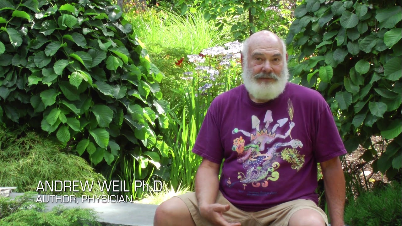 Fantastic Fungi... The Magic Beneath Us - YouTube