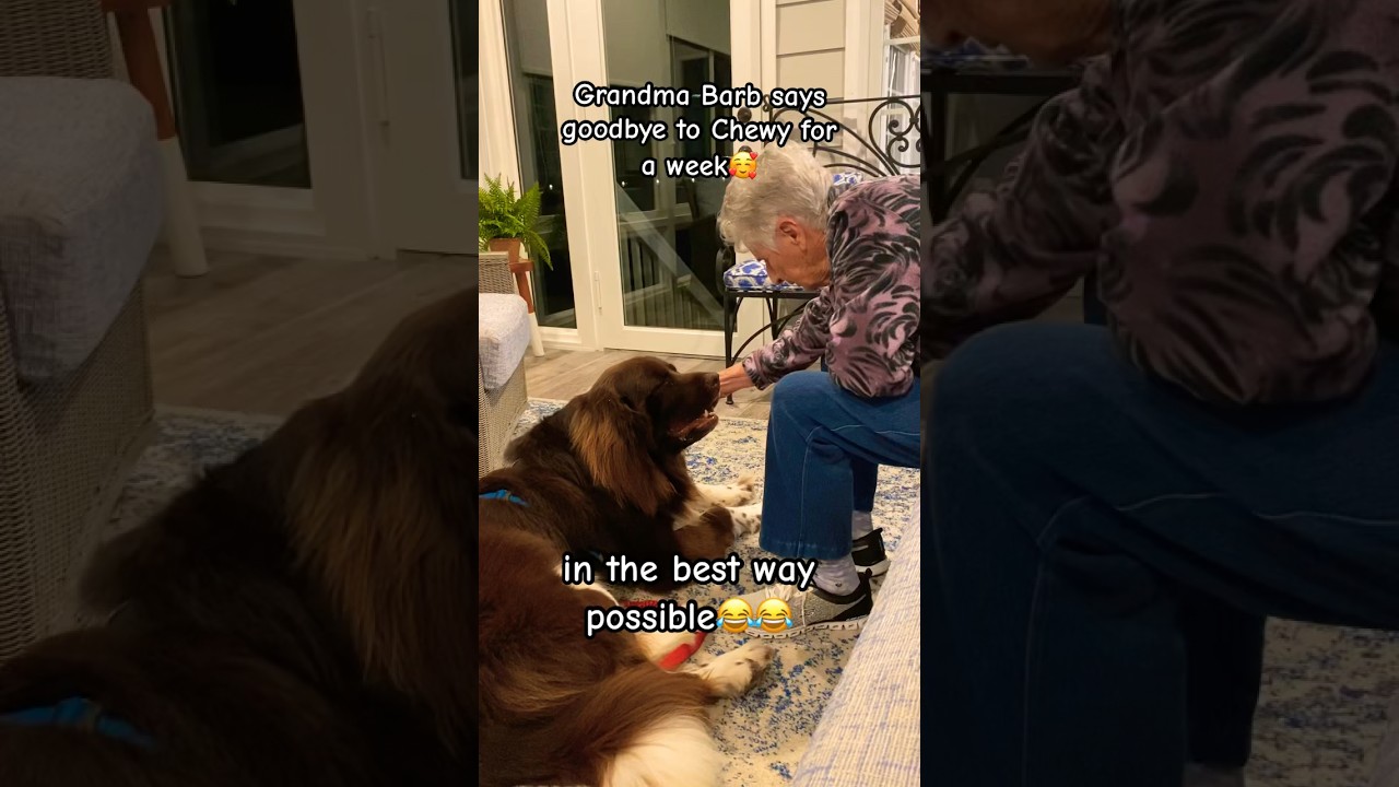 Goodbye Grandma Memes
