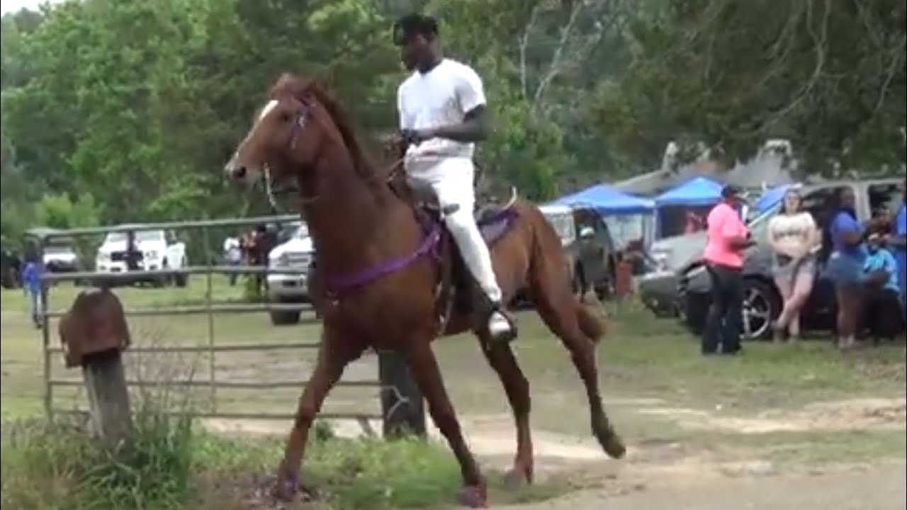 "BIG RED ROCKET" Tennessee Walker of Rolling Stepper Stables - YouTube