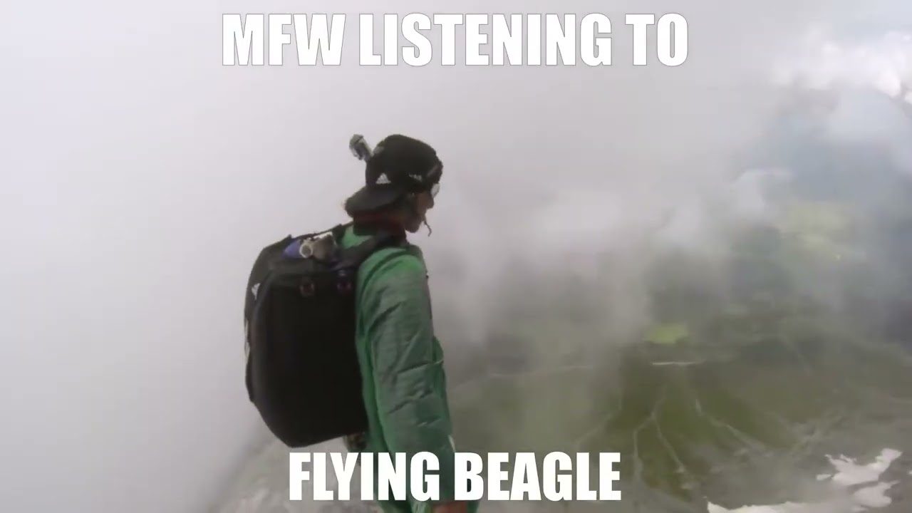 My Feel When Flying Beagle - YouTube